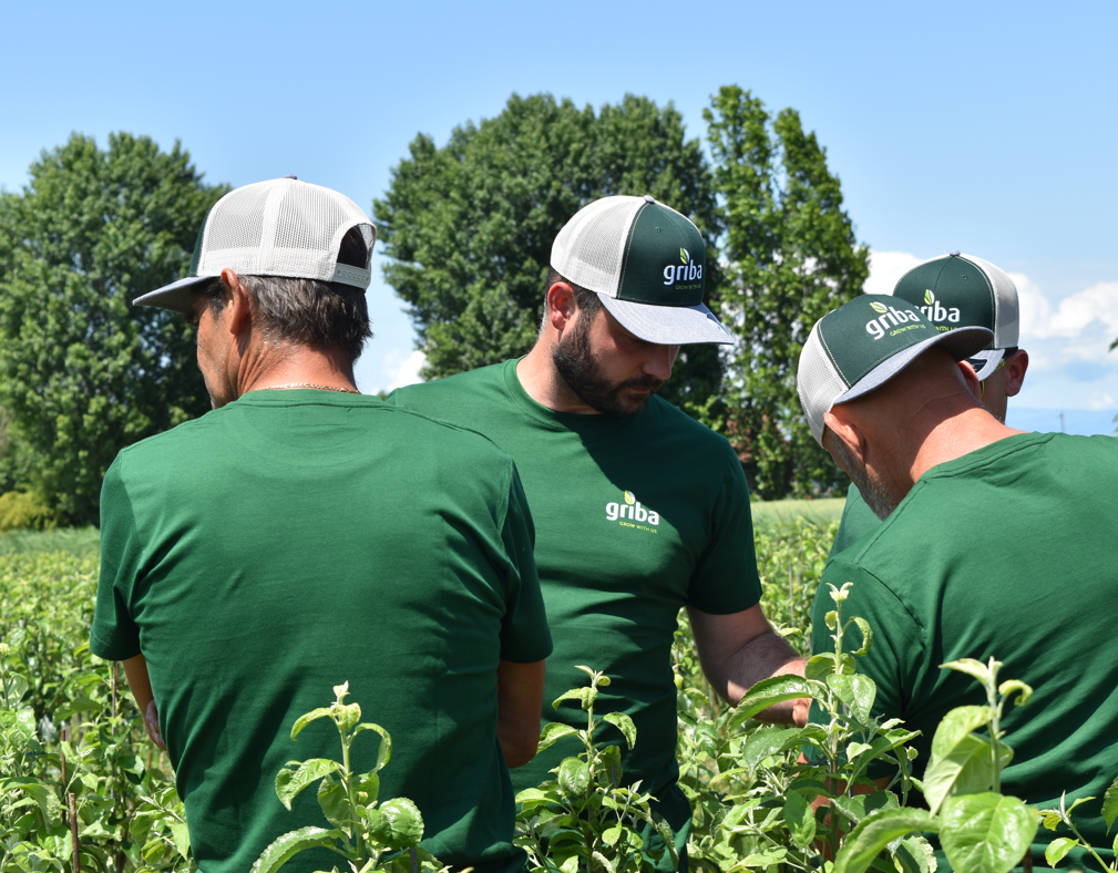 Exkursion in die Baumschule Griba - www.griba.it