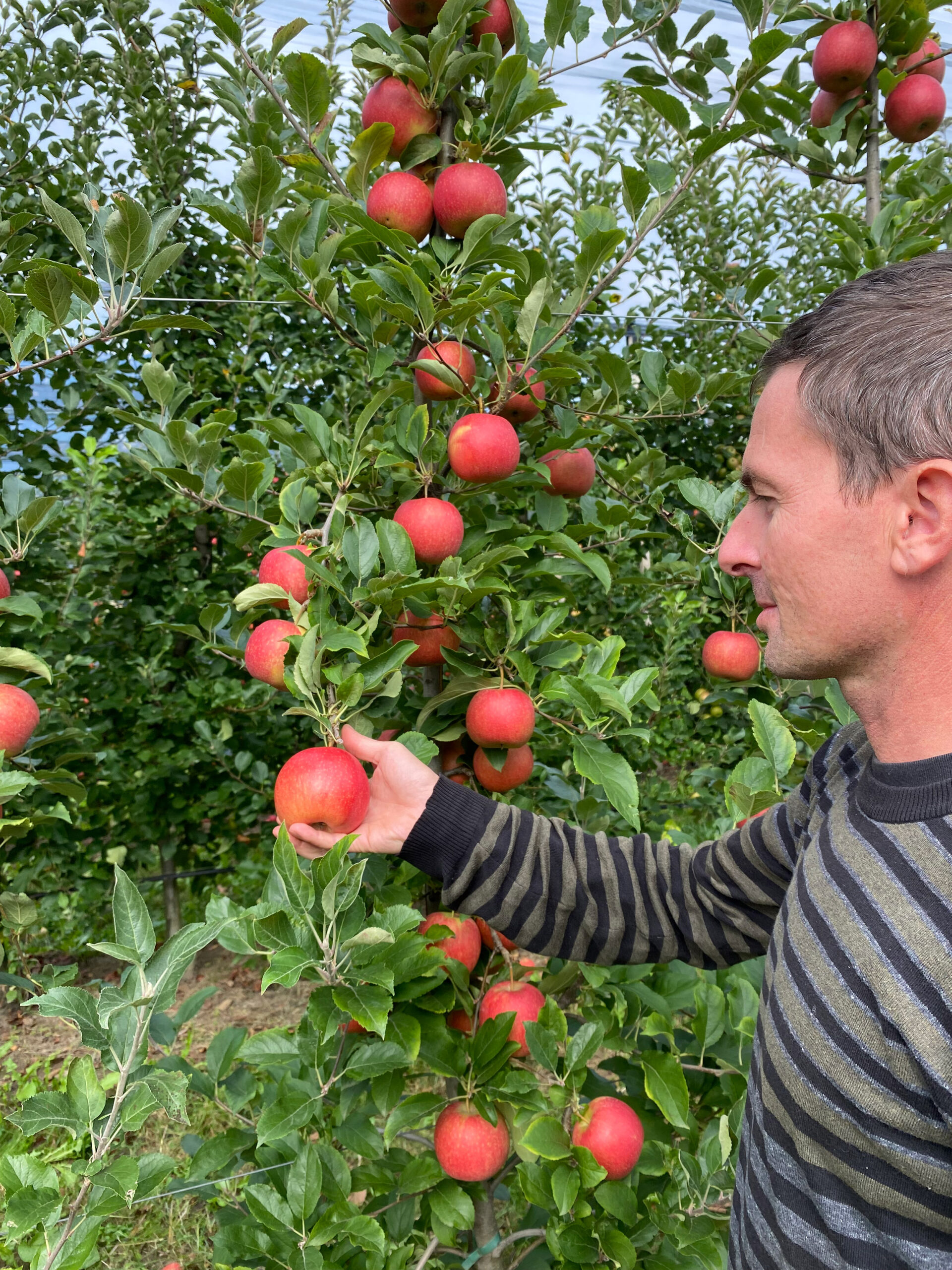 Contest - www.griba.it